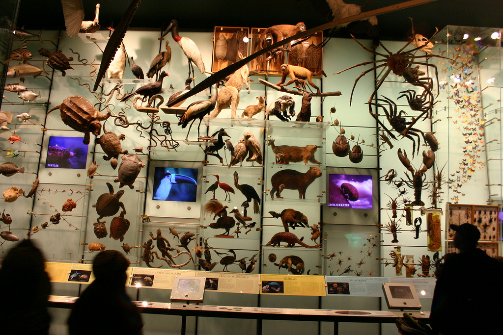 Darwin Correspondence Project